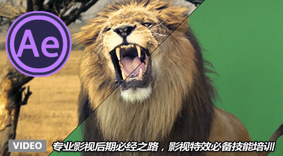 After Effects CC 2017 全面技能深入培训 AE高级教程彻底精通篇